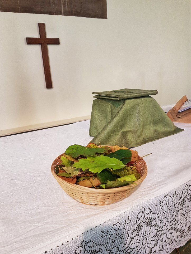 “Consider the lilies of the field” – a Harvest meditation – Bryony Taylor